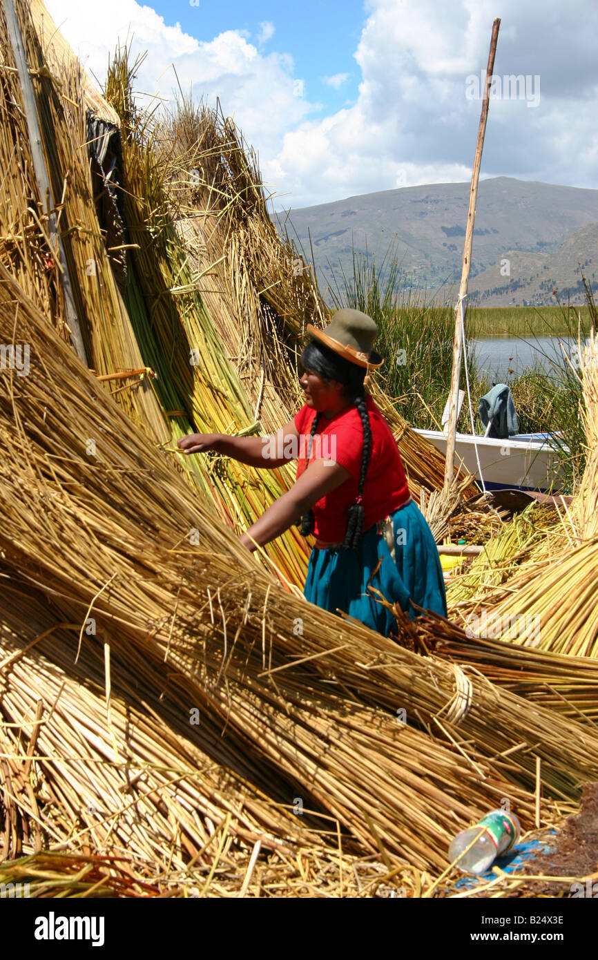 Indian woman working with reed at uros floating islands Lake Titicaca ...