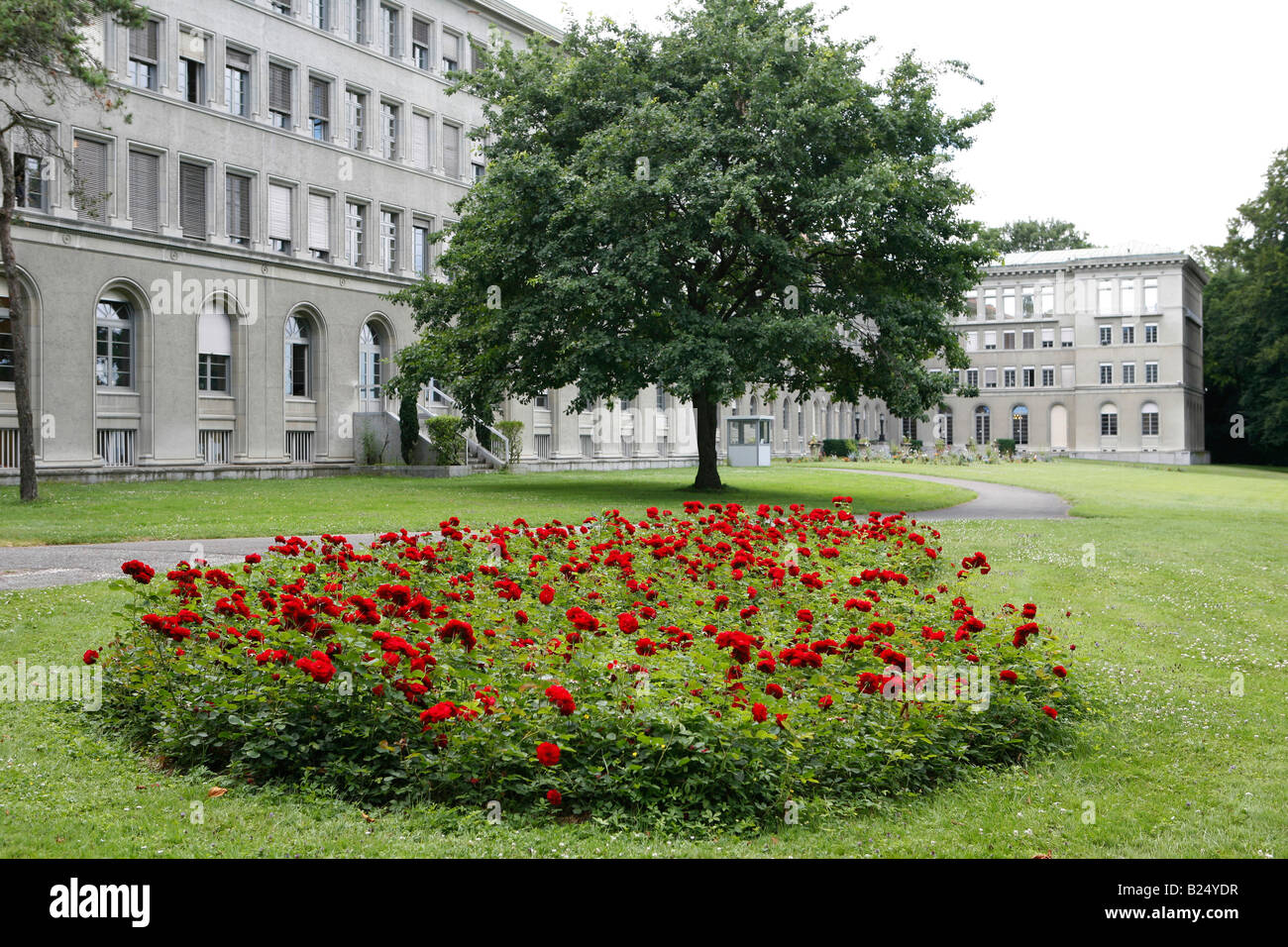 World Trade Organisation (WTO), Geneva, Swiss Stock Photo - Alamy