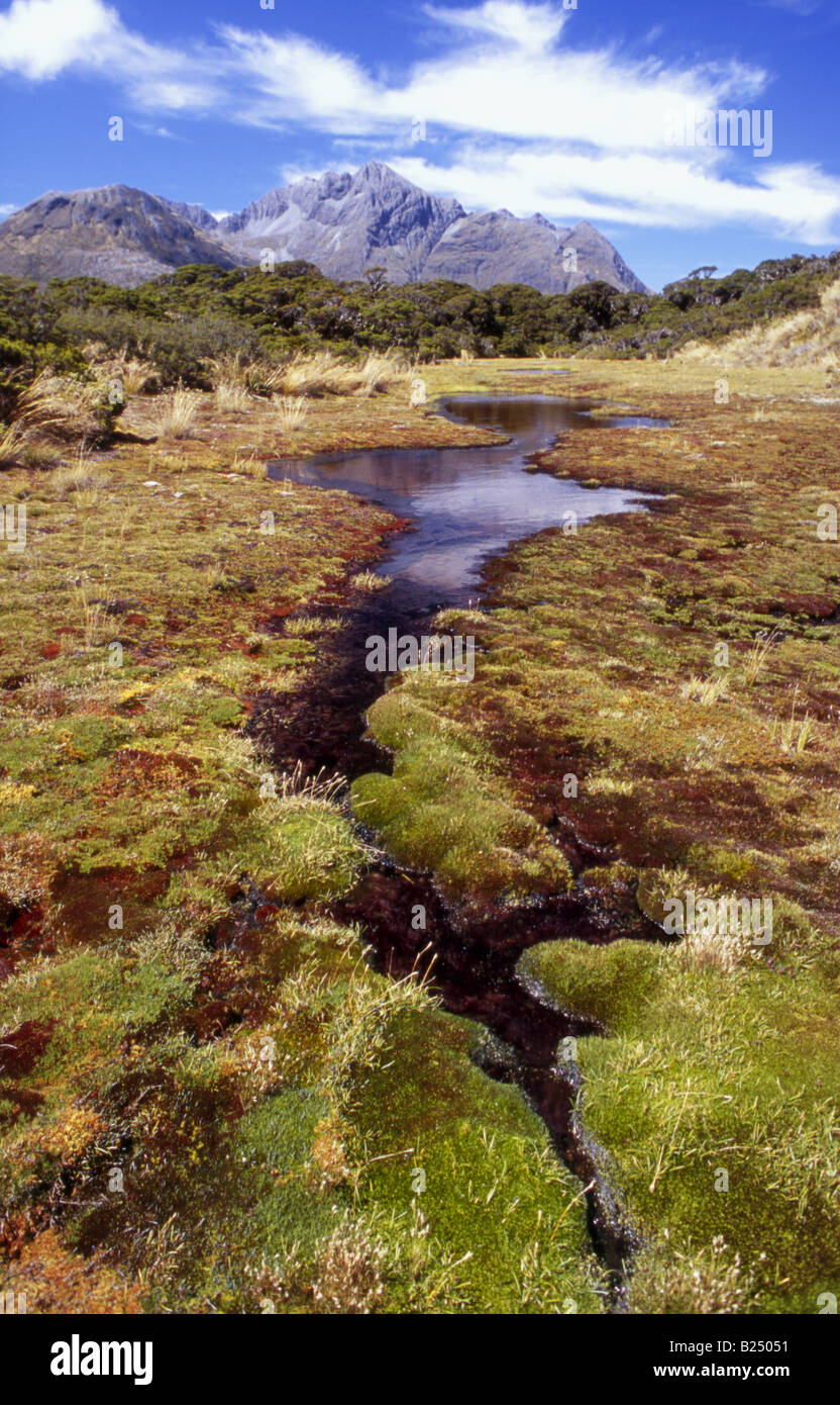 Alpine tarn at Key Summit, Routeburn Track, Fiordlane, New Zealand ...
