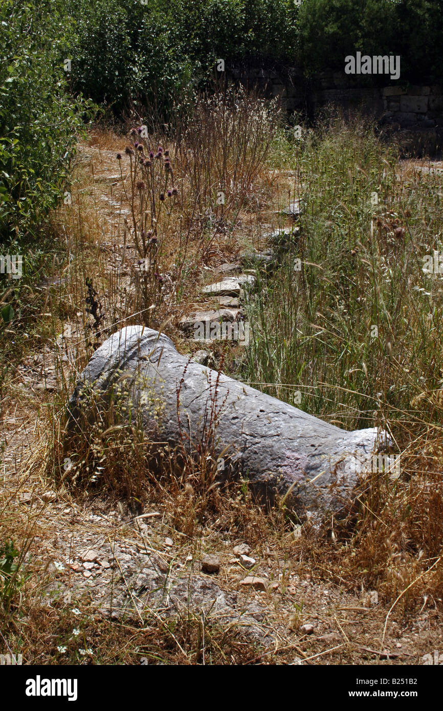Fallen roman column hi-res stock photography and images - Alamy