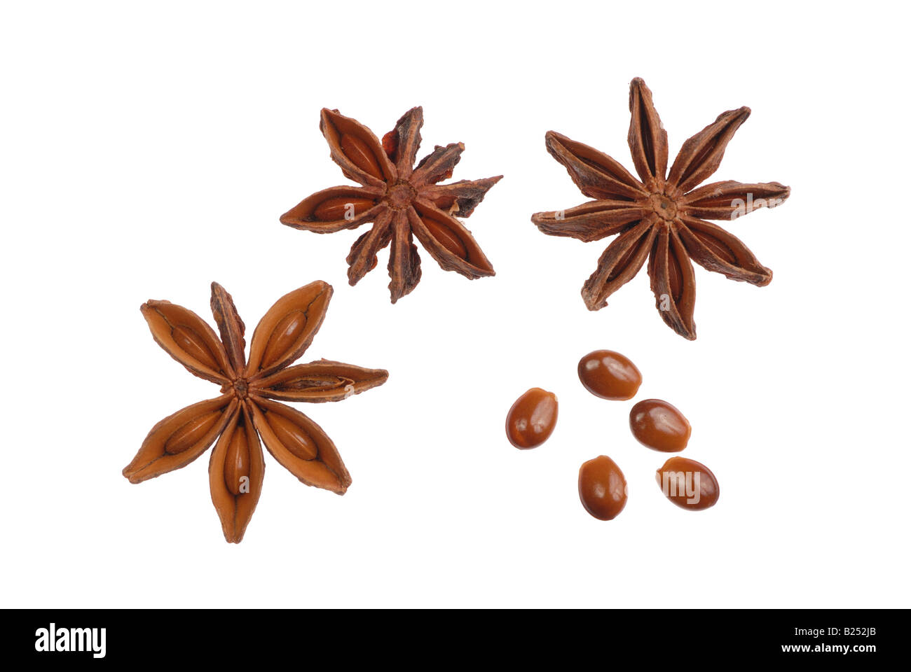Anise star on white Cut Out Stock Images & Pictures - Alamy