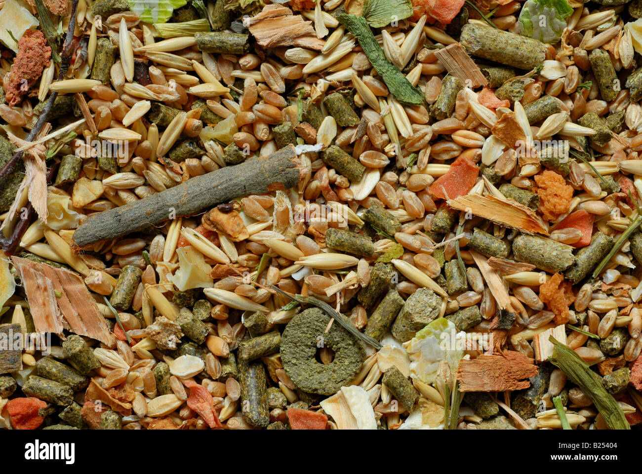 Food for rodents Stock Photo - Alamy