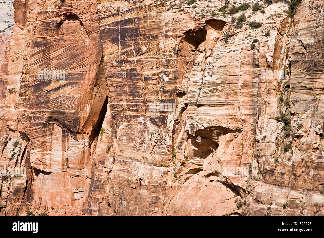 Rock formation - Zion National Park is located in the Southwestern USA ...