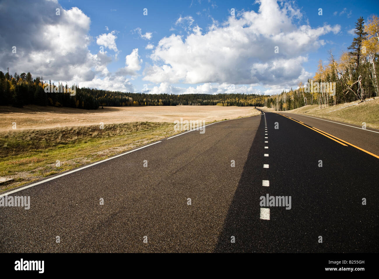 Country Road - Kaibab National Forest Arizona USA Stock Photo - Alamy
