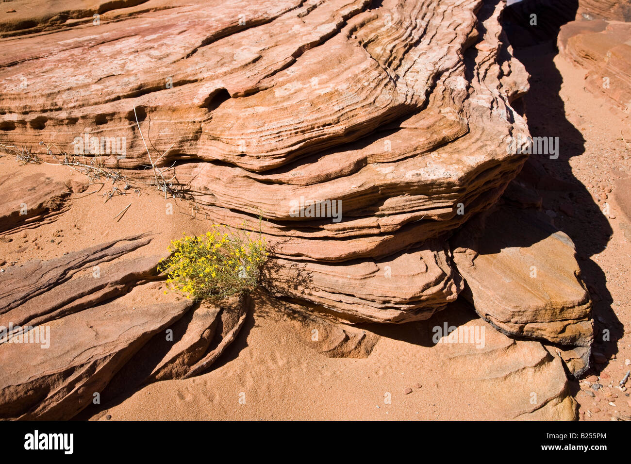 Visible rock stratum - red sandstone in Arizona, USA Stock Photo - Alamy