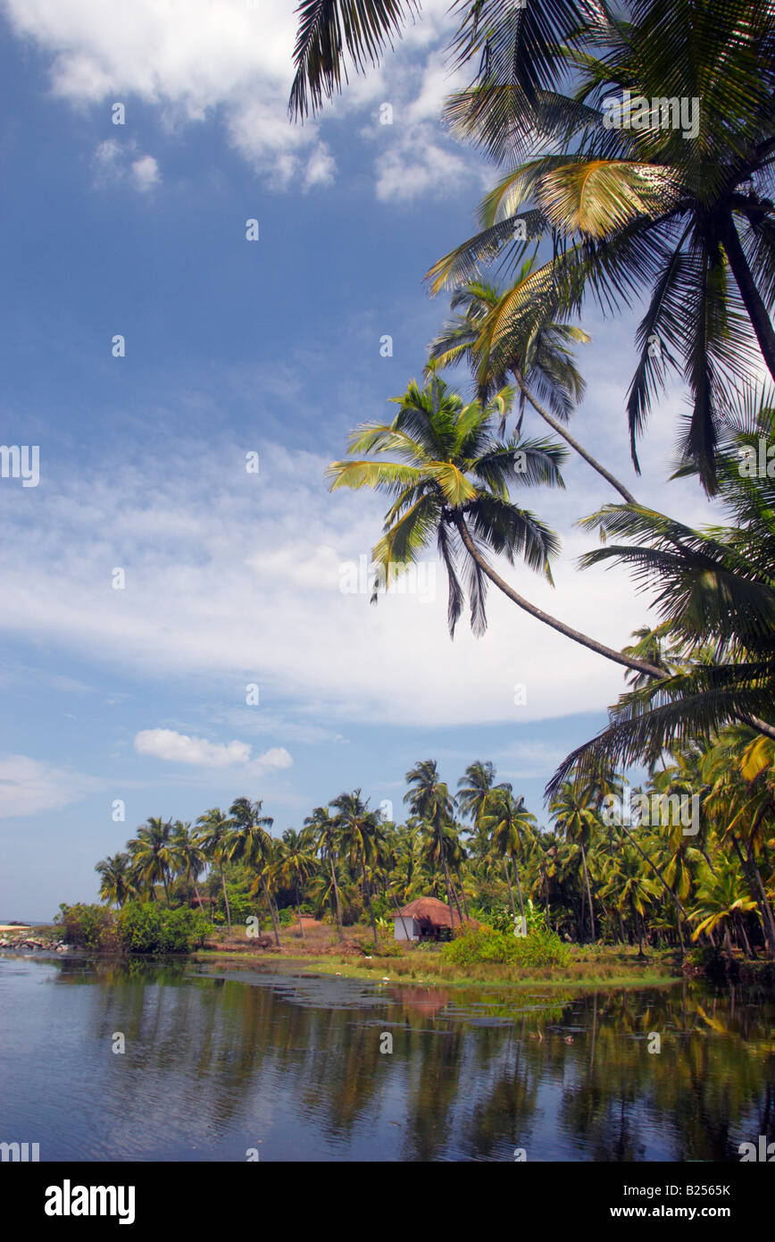 Palm trees and back waters alongside the Costa Malabari beach near ...