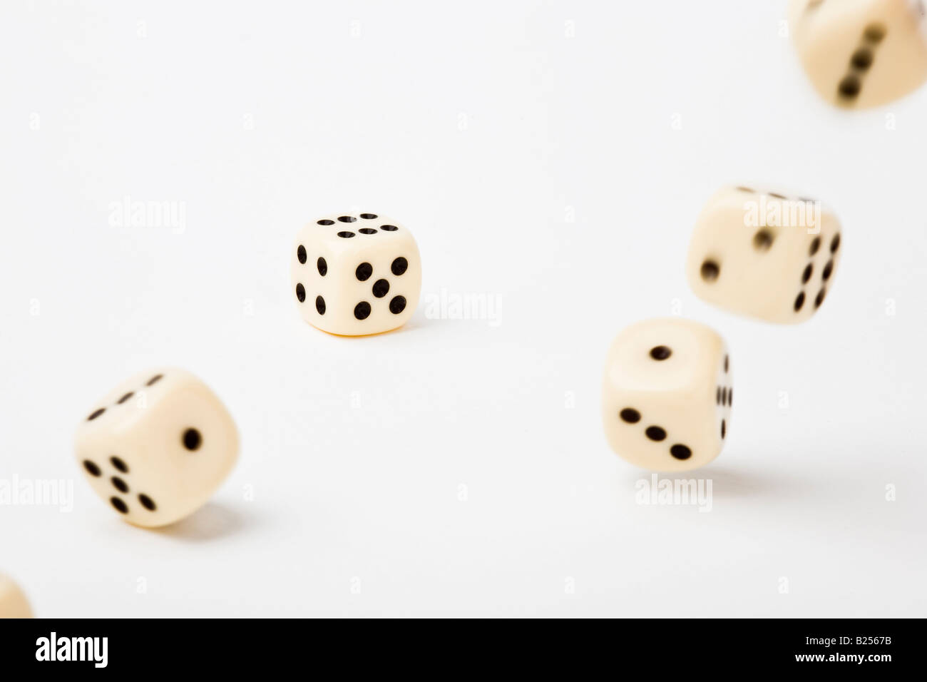 Rolling dice on white background Stock Photo - Alamy