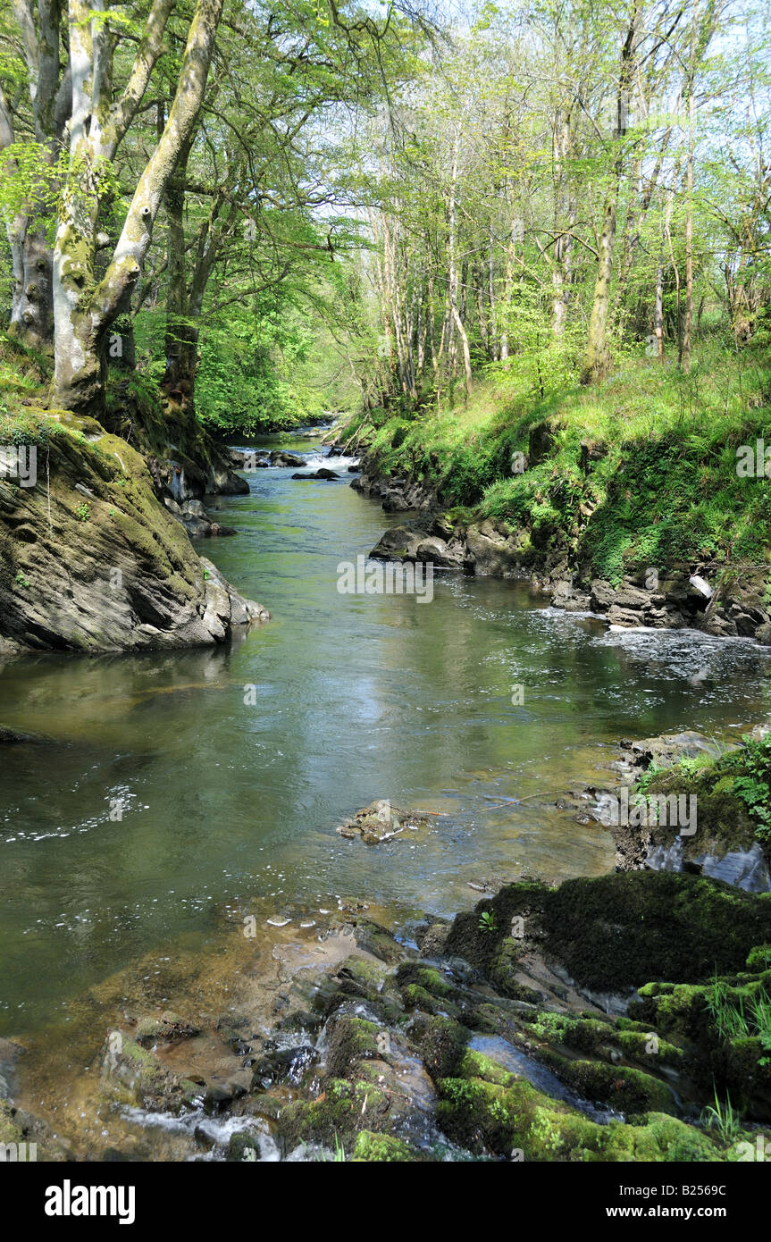 Cothi bridge river hi-res stock photography and images - Alamy