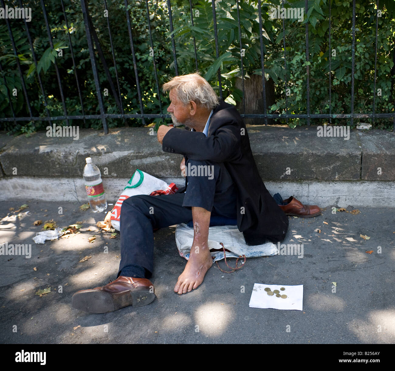 The Tramp Stock Photos & The Tramp Stock Images - Alamy