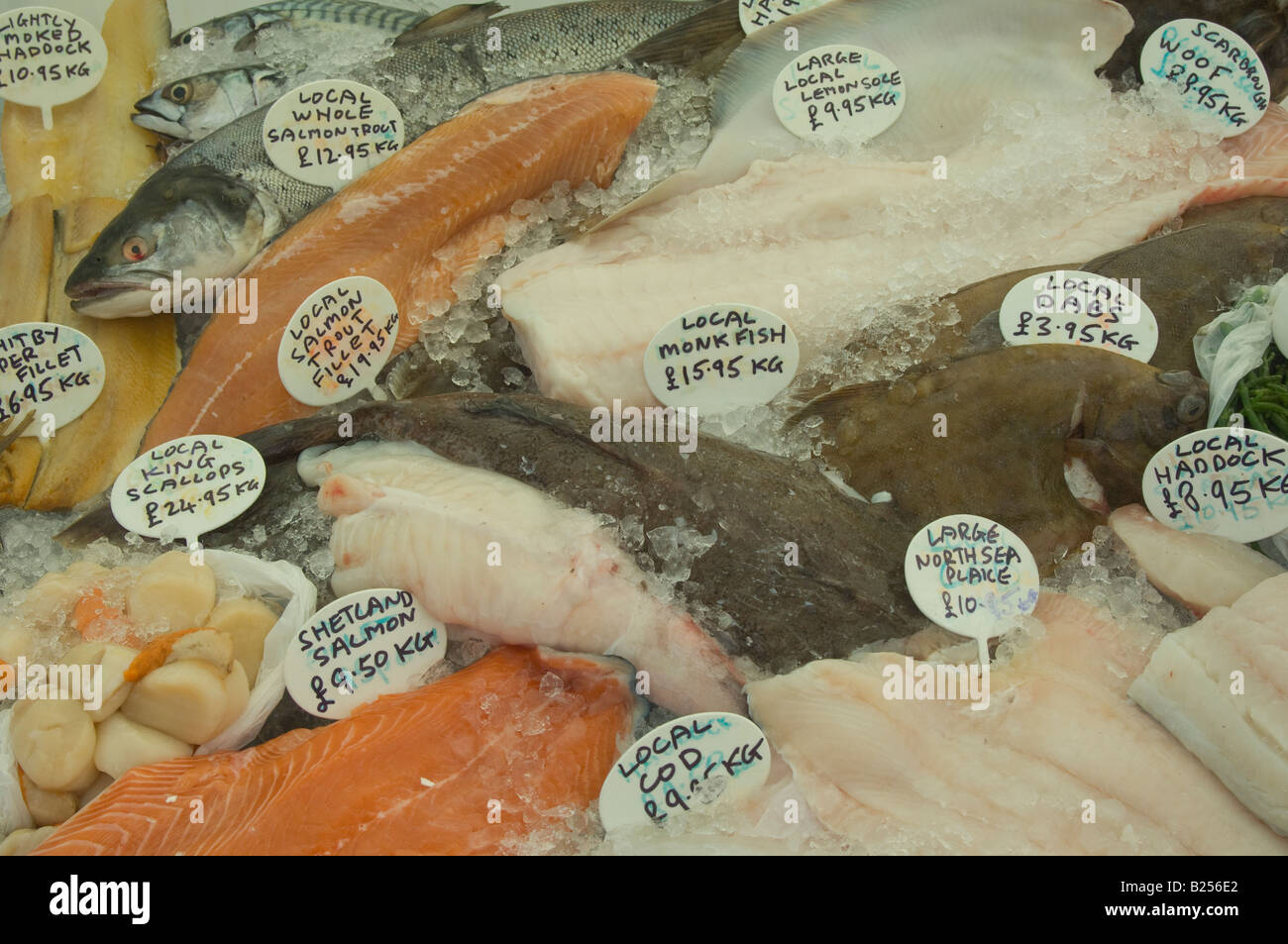 Variety fresh fish fillets on hi-res stock photography and images - Alamy