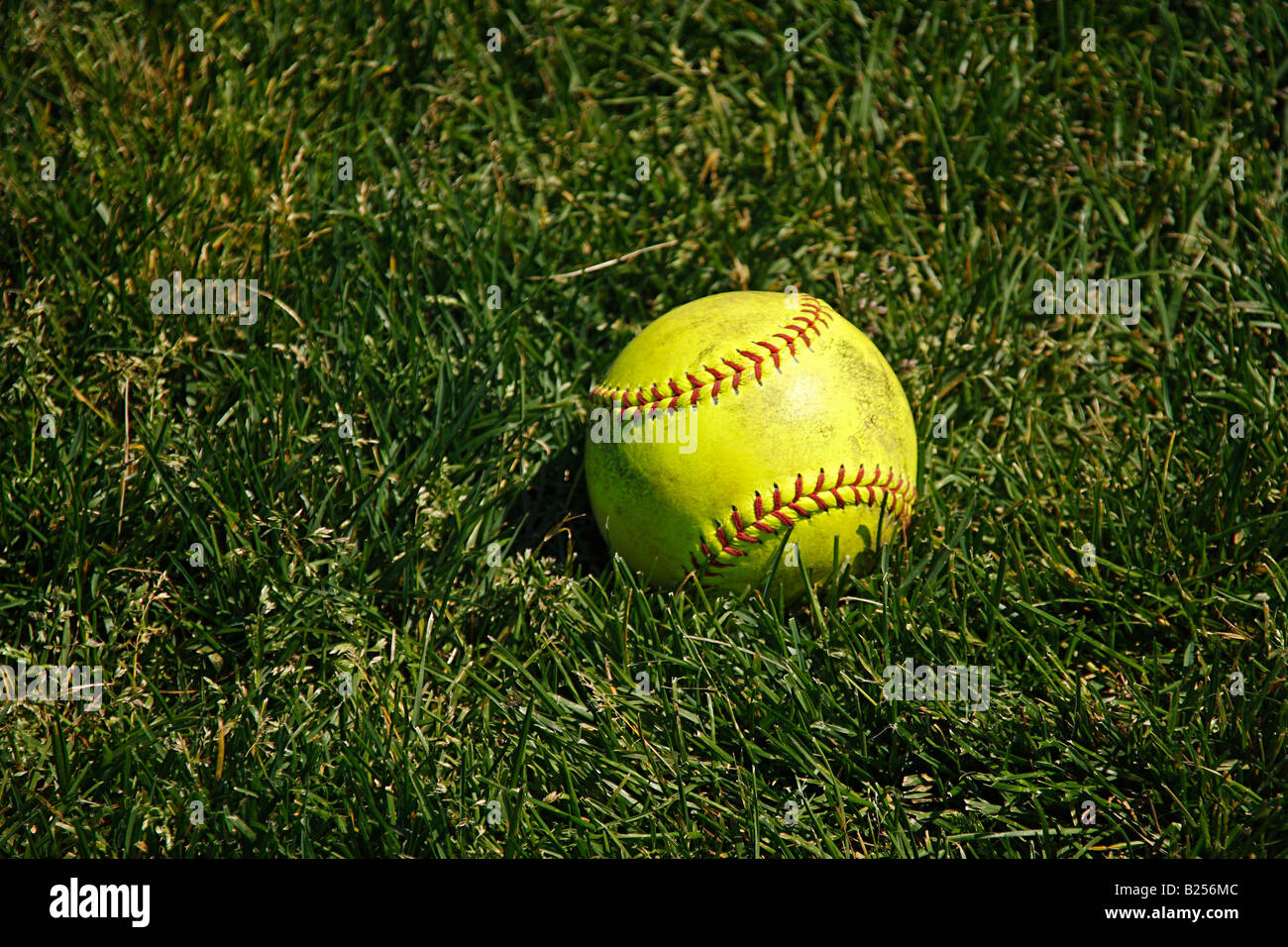 Yellow baseball on the green grass of Central Park - New York City, USA ...