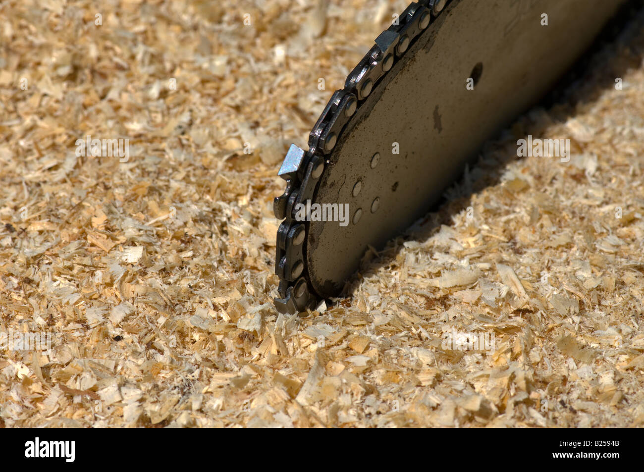Detail of the chain saw on the background of sawdust Stock Photo - Alamy