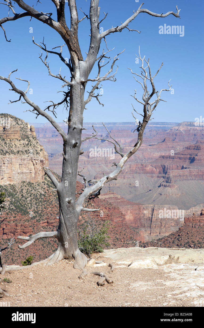 Hermit shale grand canyon hi-res stock photography and images - Alamy