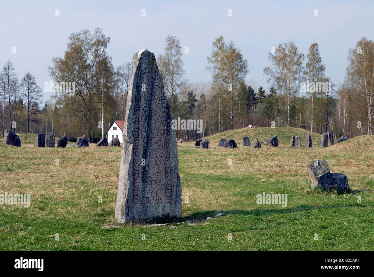 Viking Standing Stones 13 Rune Stones Ideas | Rune Stones, Runes,