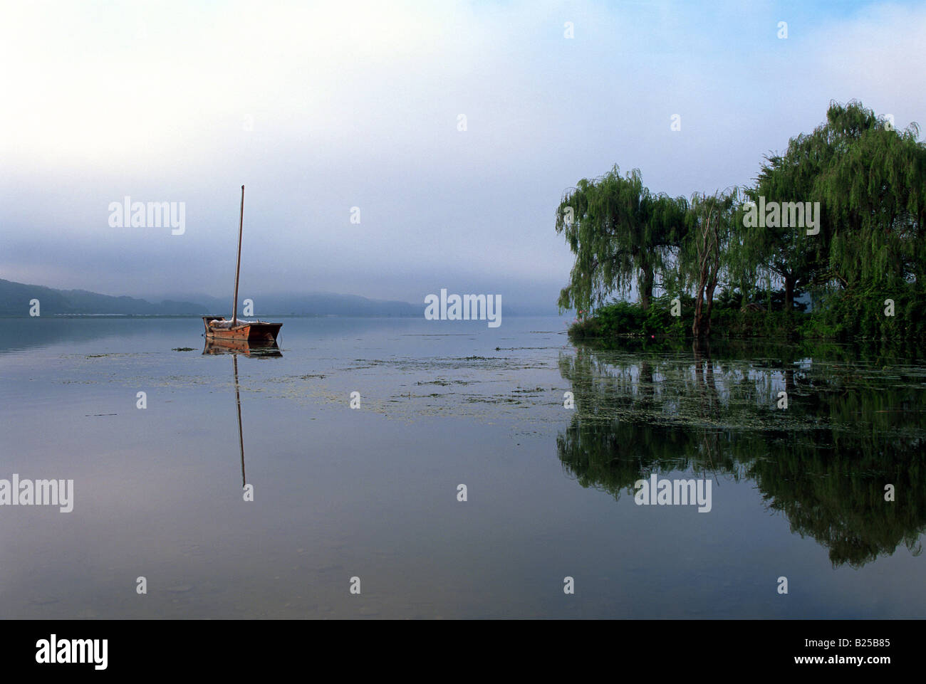 River, tree and boat Stock Photo - Alamy