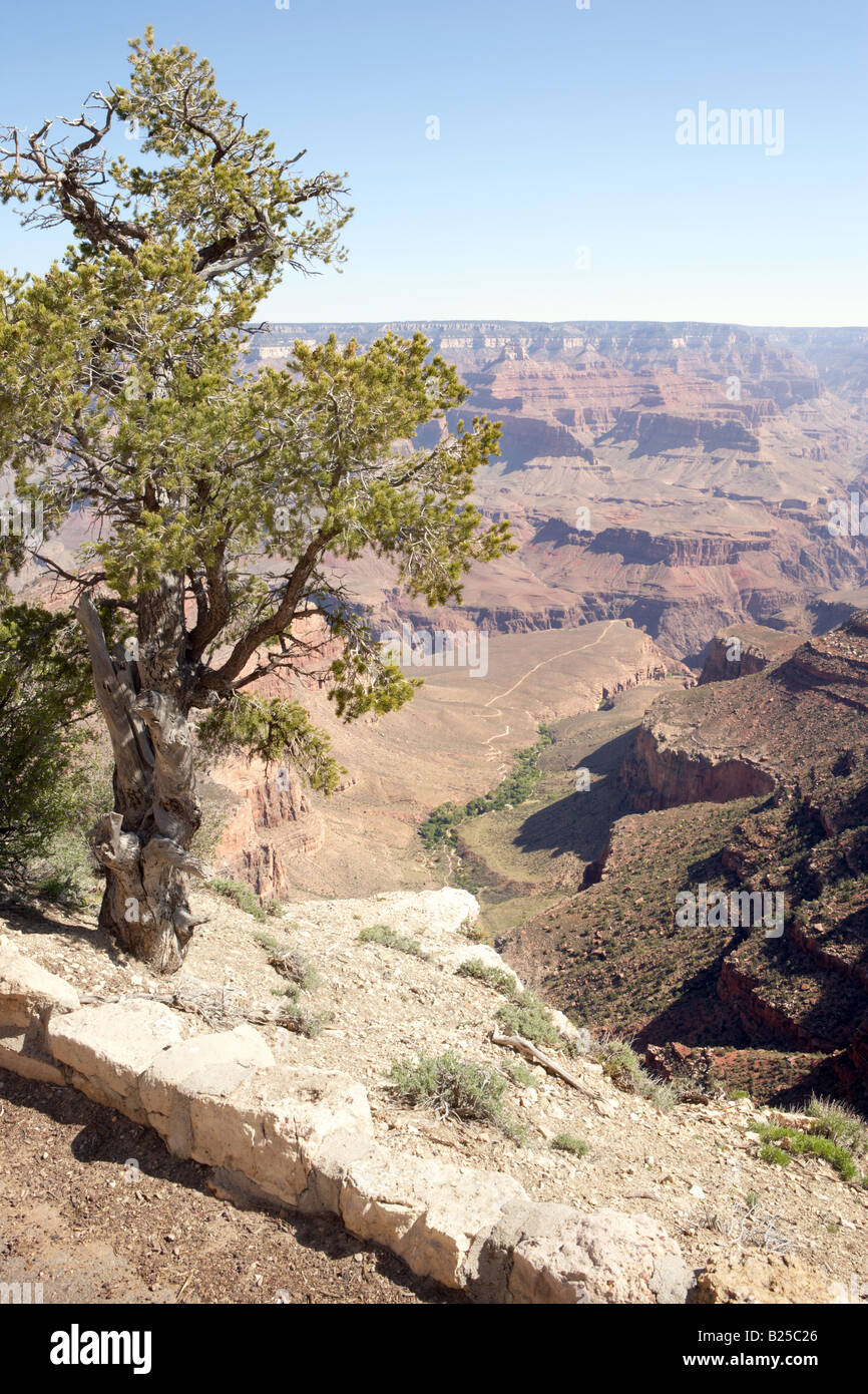 Redwall limestone formation hi-res stock photography and images - Alamy