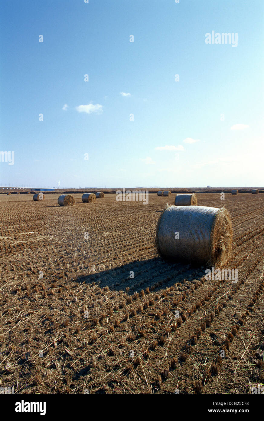 Field and sky Stock Photo - Alamy