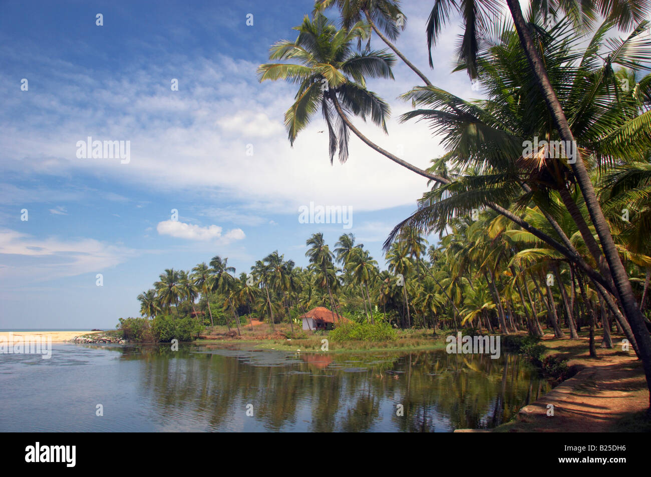 Palm trees and back waters alongside the Costa Malabari beach near ...