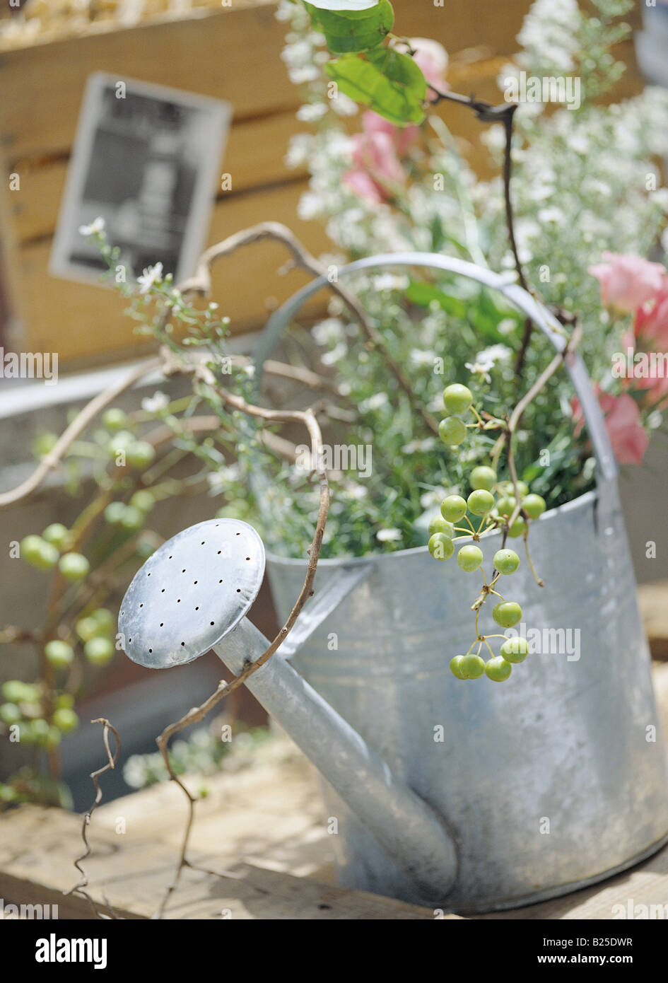 Flowers and sprinkling can Stock Photo - Alamy