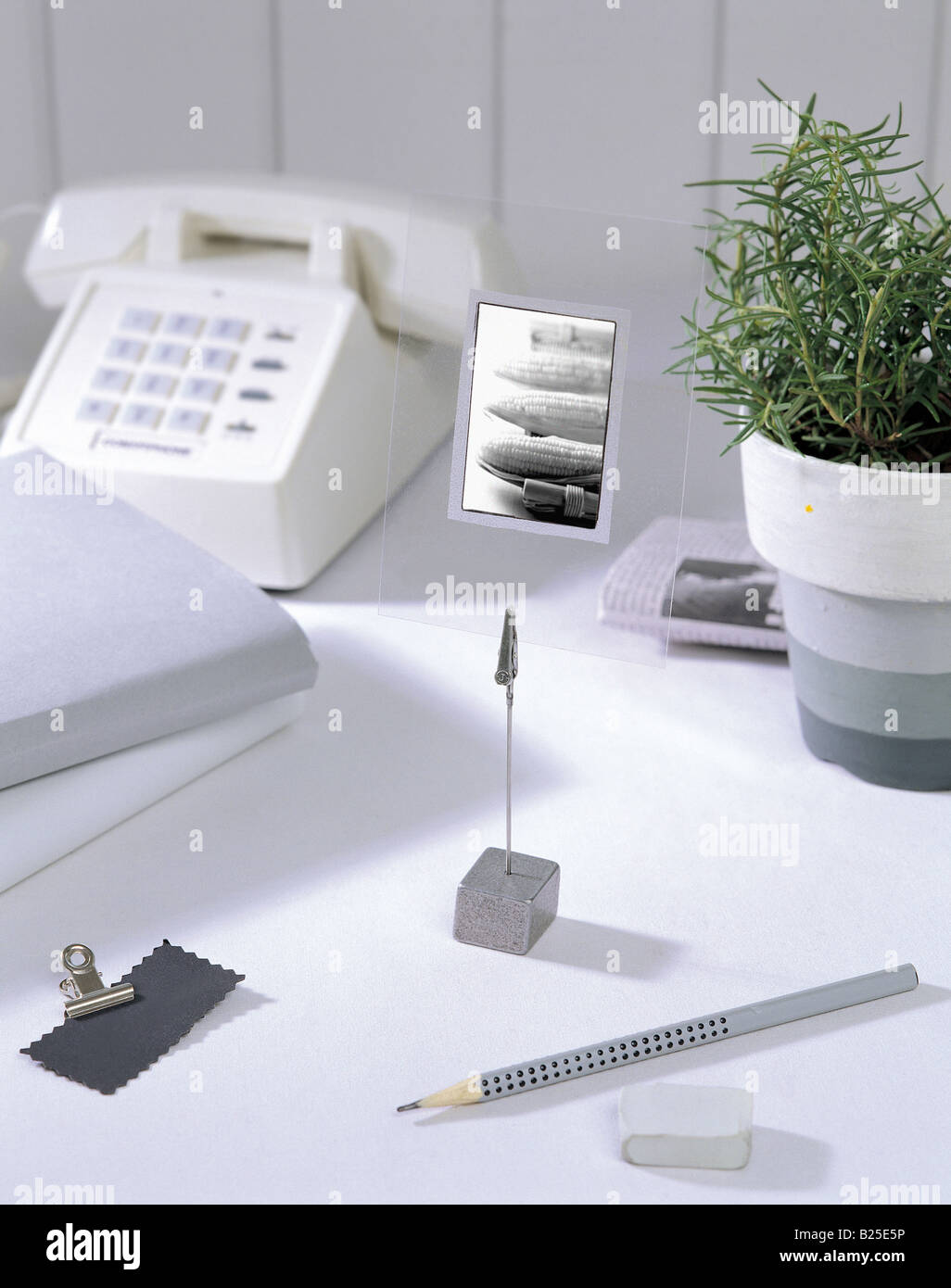 Telephone and potted plant Stock Photo - Alamy