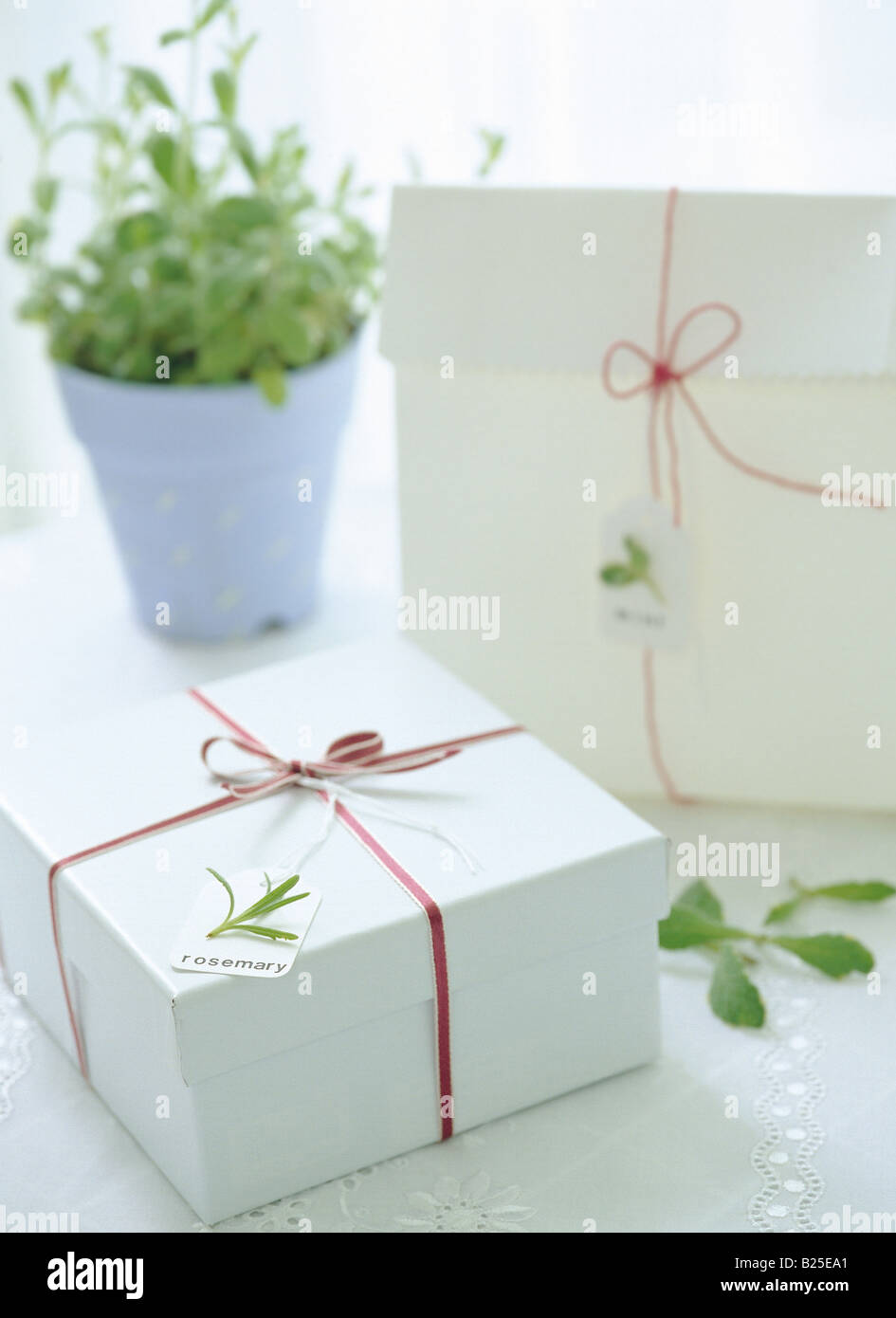 Gift boxes and potted plant Stock Photo - Alamy