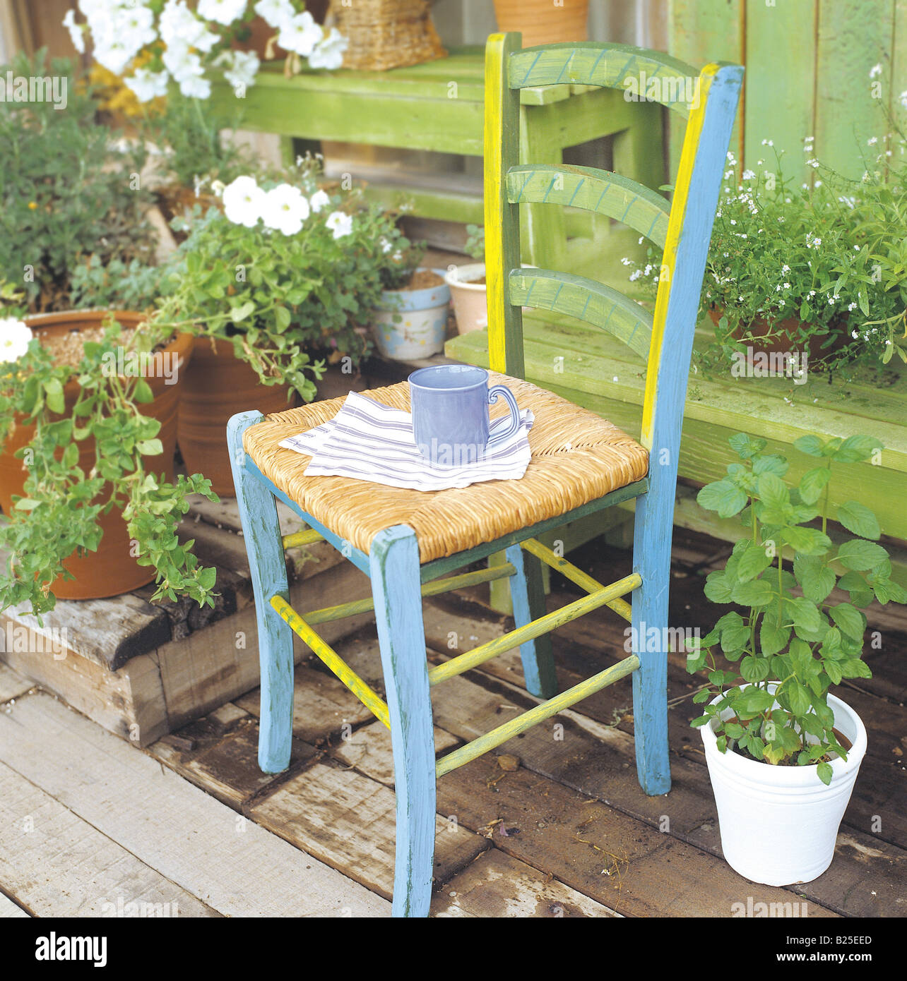 Chair and potted plant Stock Photo - Alamy