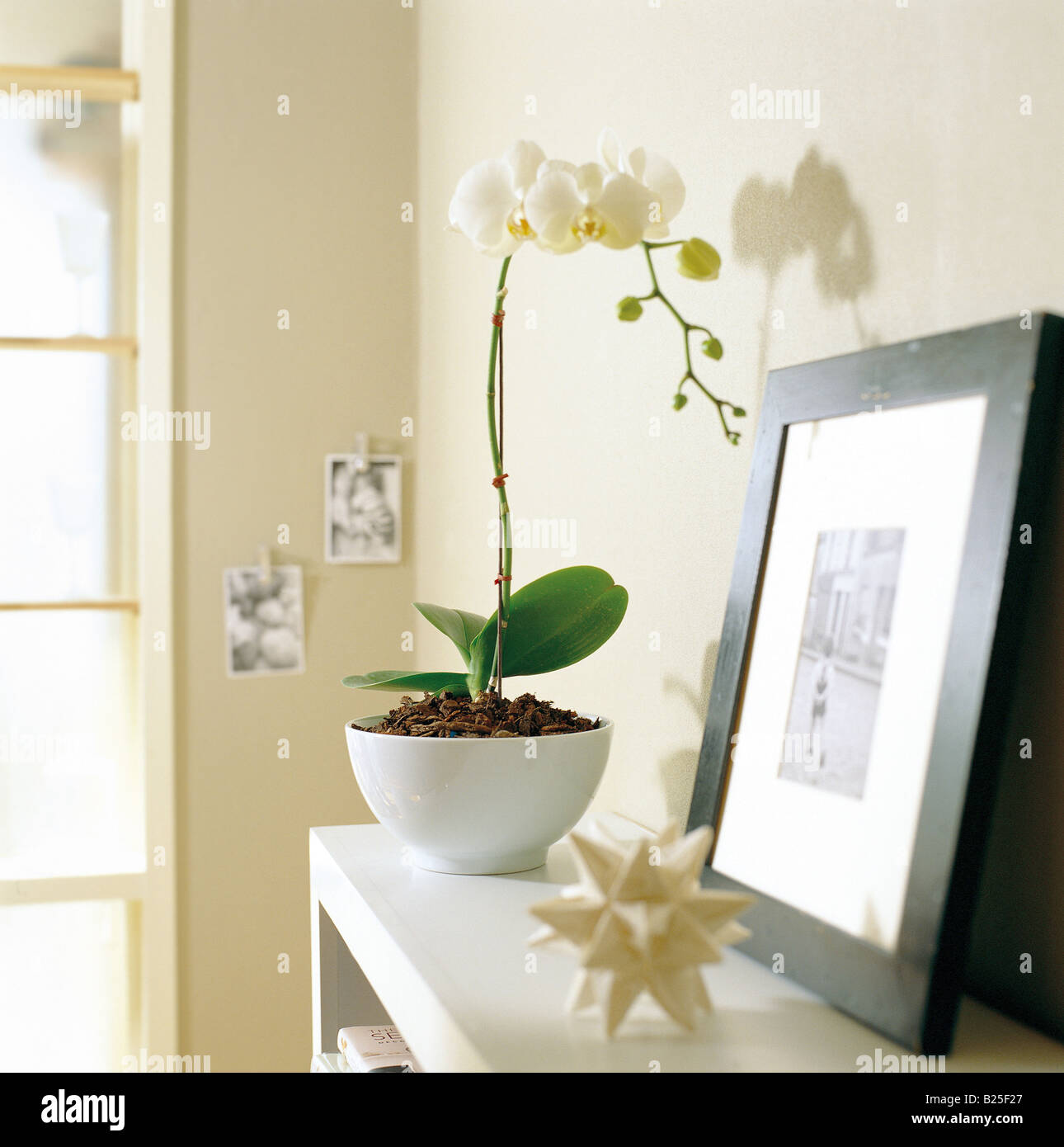 Bouquet of flowers, vase and picture frame Stock Photo - Alamy