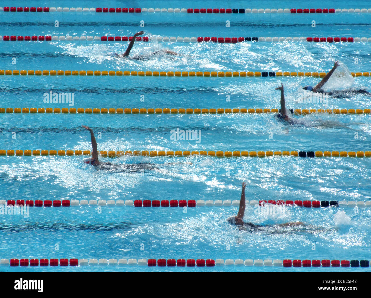 female swimmers in olympic pool in rome, italy Stock Photo - Alamy