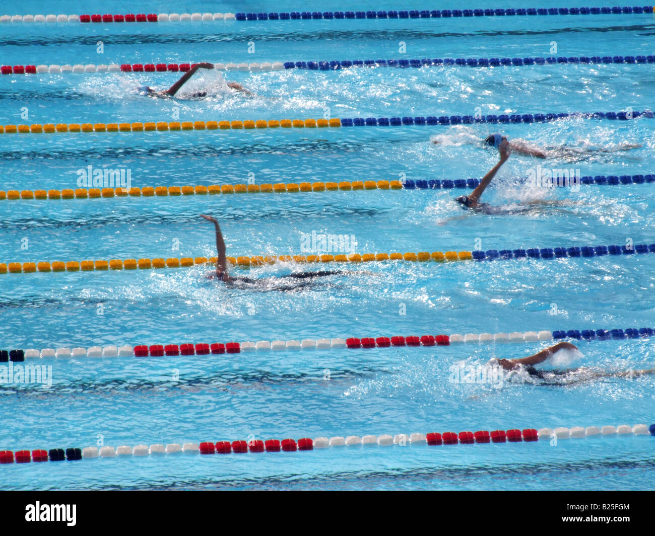 Female swimmers in olympic pool in rome hi-res stock photography and ...