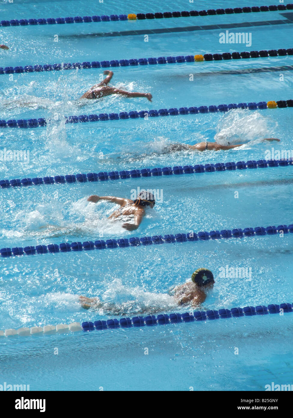female swimmers in olympic pool in rome, italy Stock Photo - Alamy