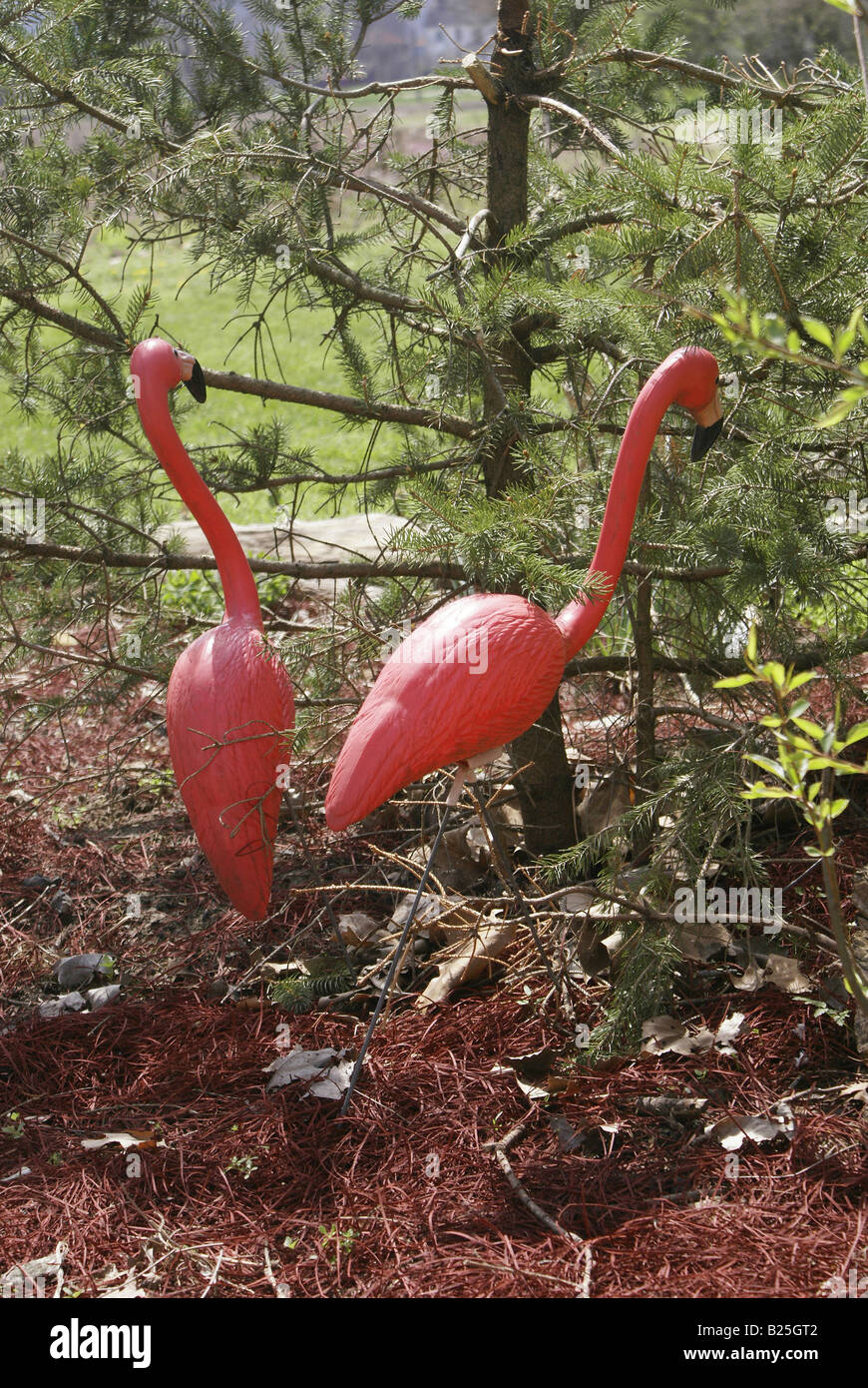 Pink plastic flamingos hi-res stock photography and images - Alamy
