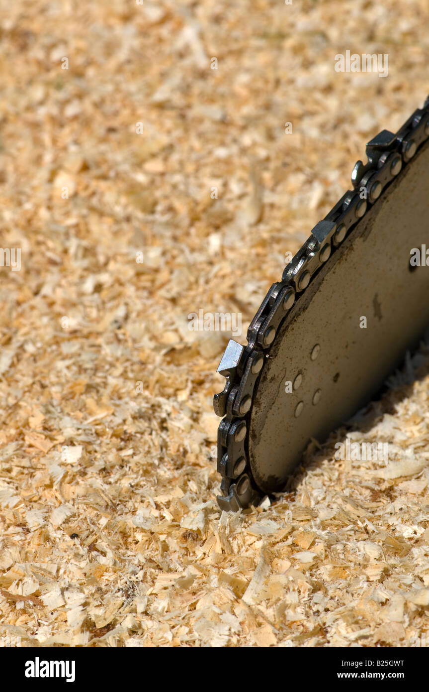 Detail of the chain saw on the background of a sawdust Stock Photo - Alamy