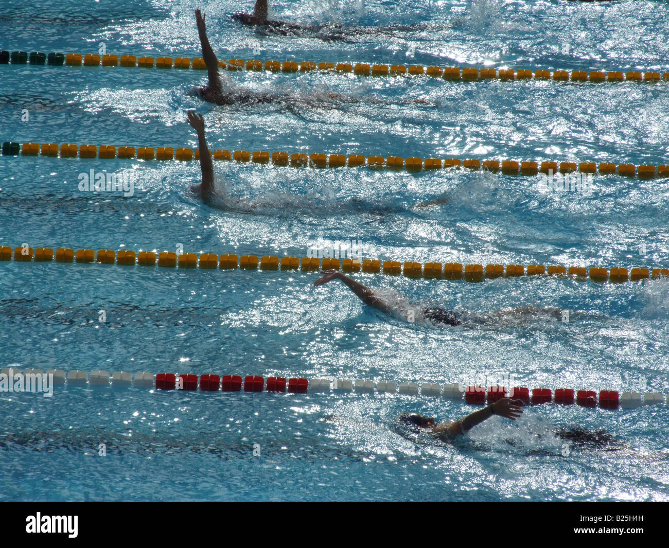 female swimmers in olympic pool in rome, italy Stock Photo - Alamy