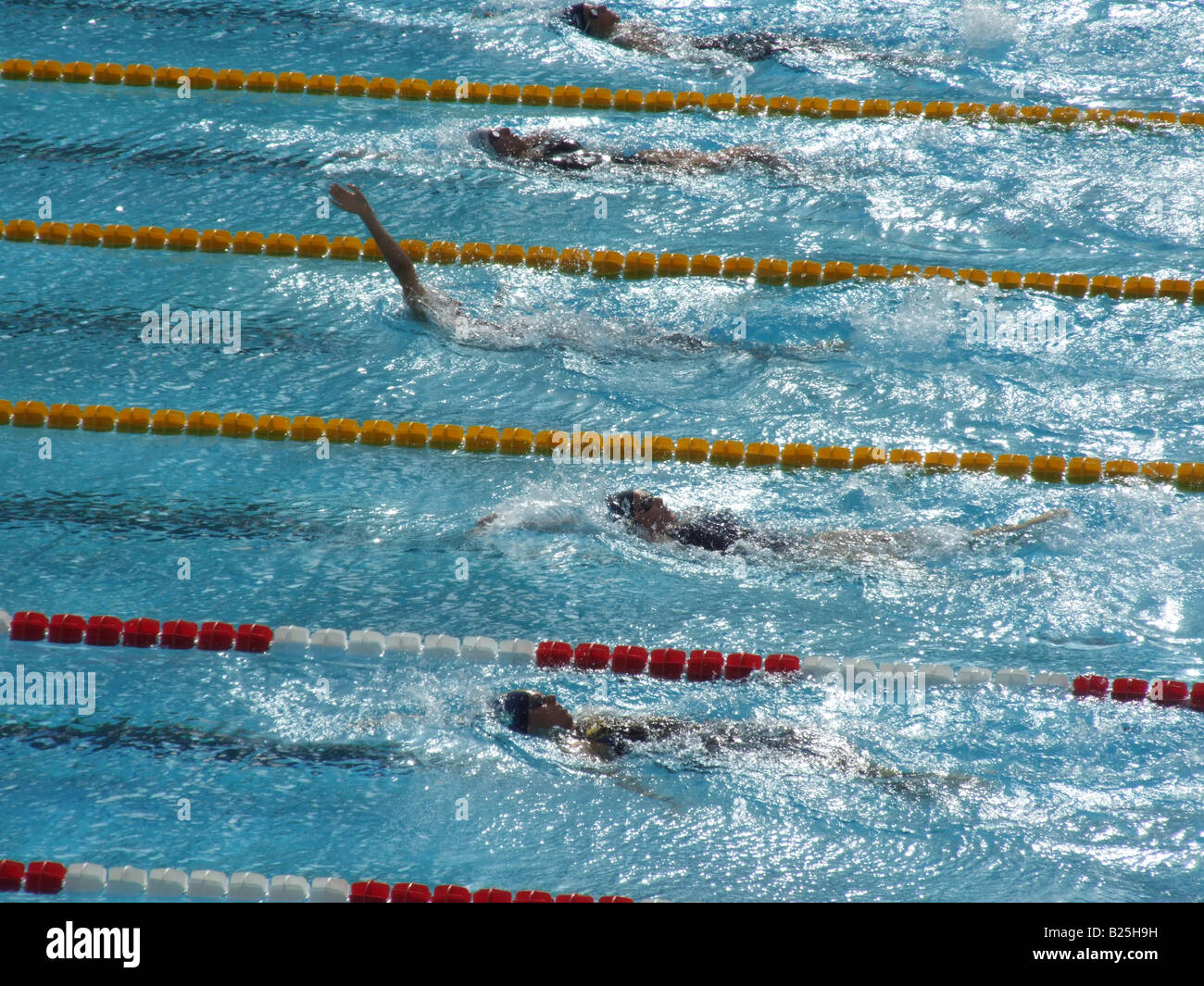 female swimmers in olympic pool in rome, italy Stock Photo - Alamy