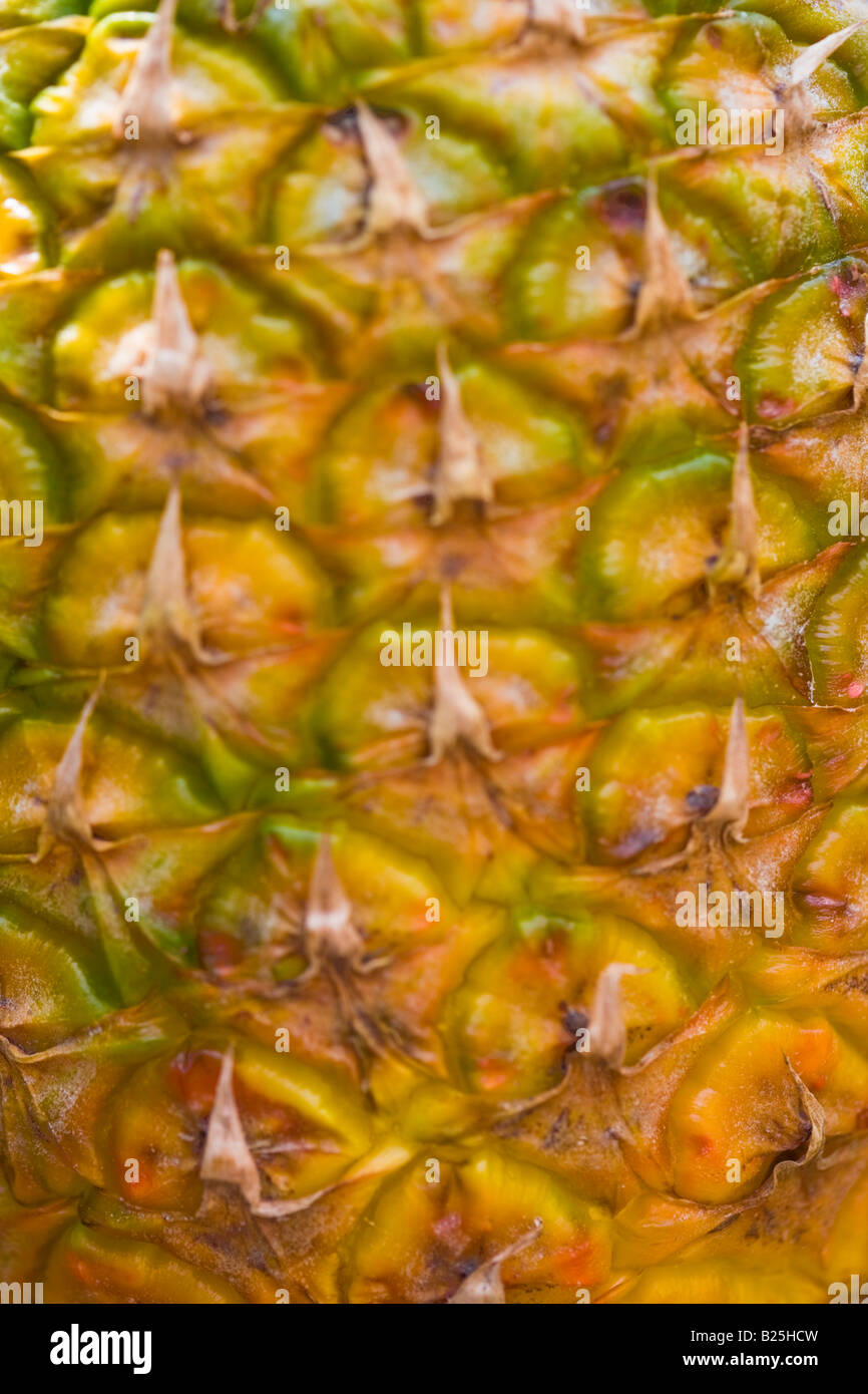 SELECTIVE FOCUS IMAGE OF A PINEAPPLE SKIN Stock Photo - Alamy