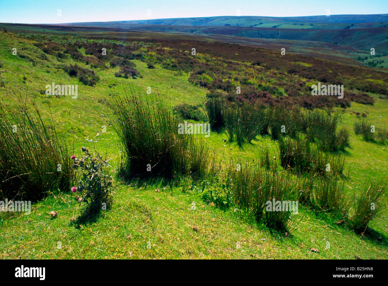 Exmoor Somerset England Landscape Moors Stock Photo - Alamy