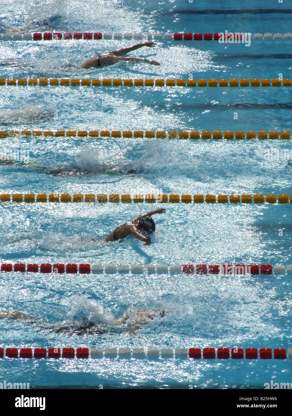 female swimmers in olympic pool in rome, italy Stock Photo - Alamy