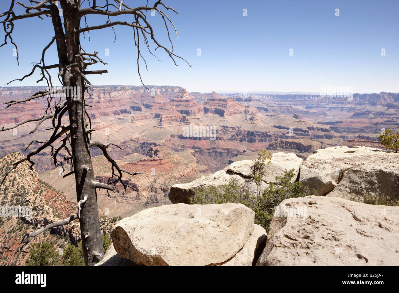 Grandview Point at South Rim of Grand Canyon in Arizona USA Stock Photo ...
