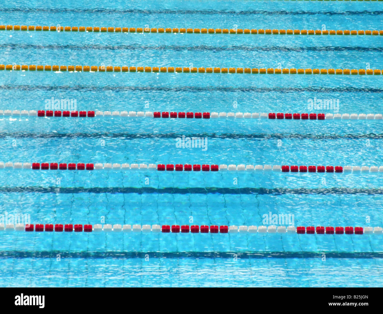 empty olympic size swimming pool with lanes Stock Photo - Alamy