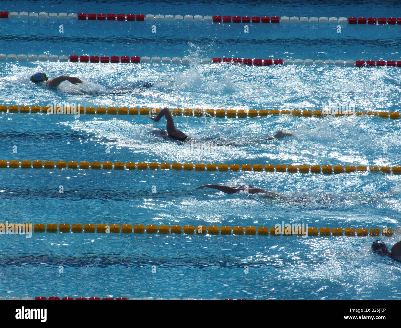 female swimmers in olympic pool in rome, italy Stock Photo - Alamy