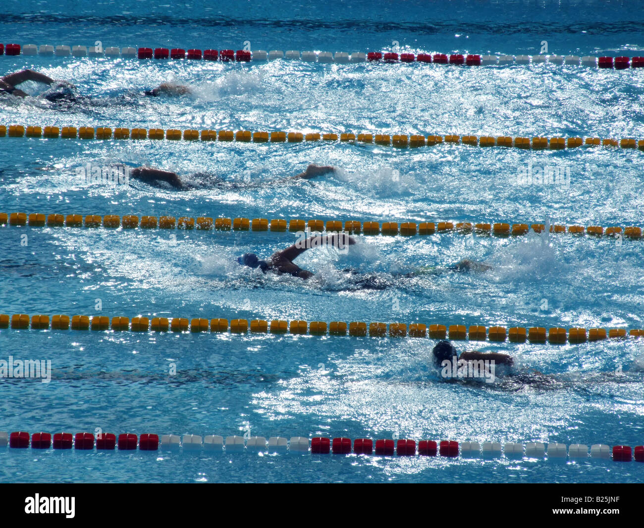 female swimmers in olympic pool in rome, italy Stock Photo - Alamy