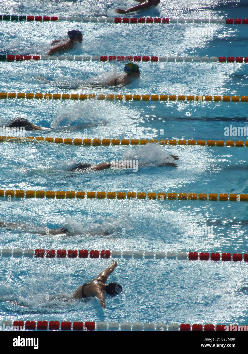 female swimmers in olympic pool in rome, italy Stock Photo - Alamy