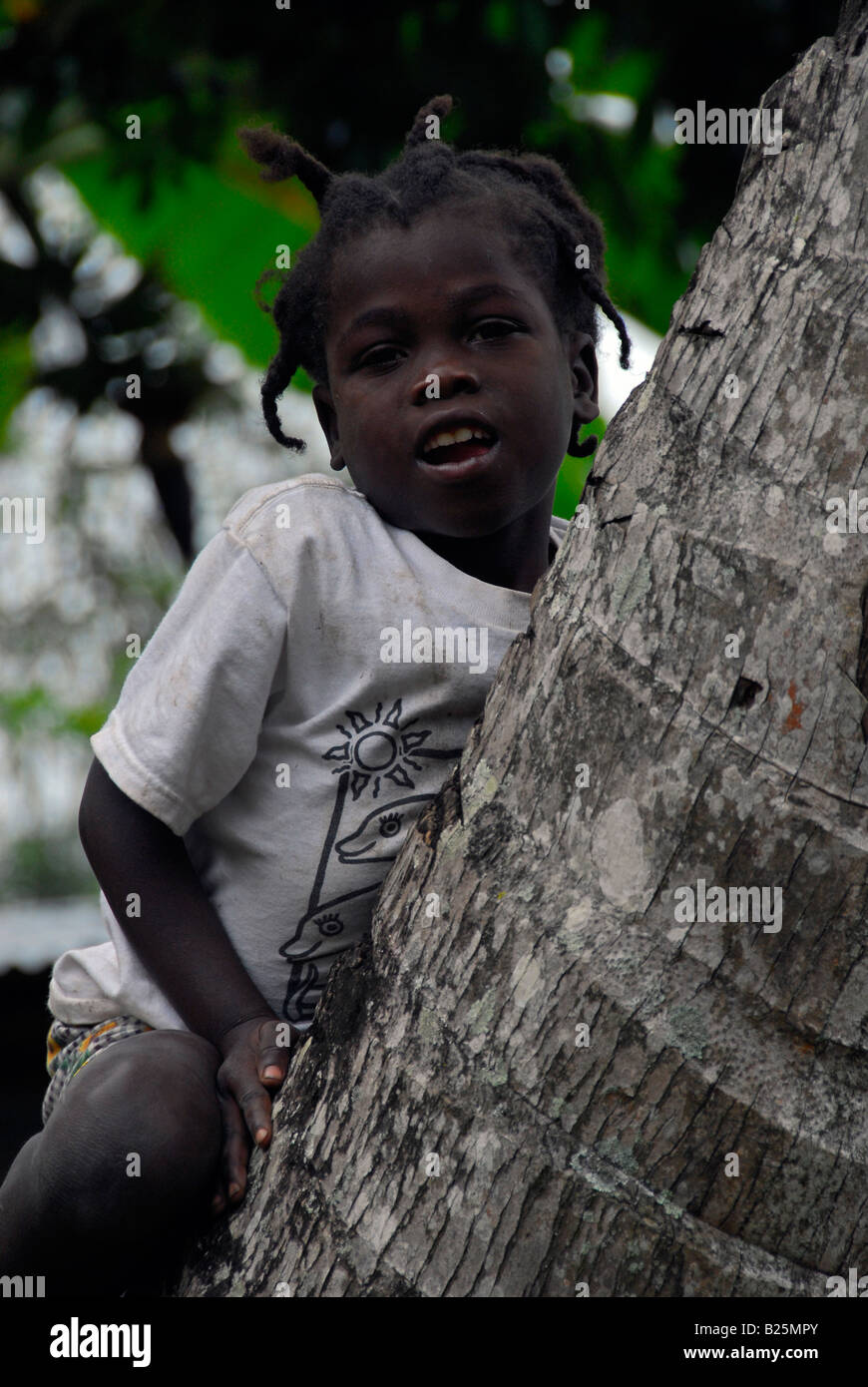 Milot haiti hi-res stock photography and images - Alamy