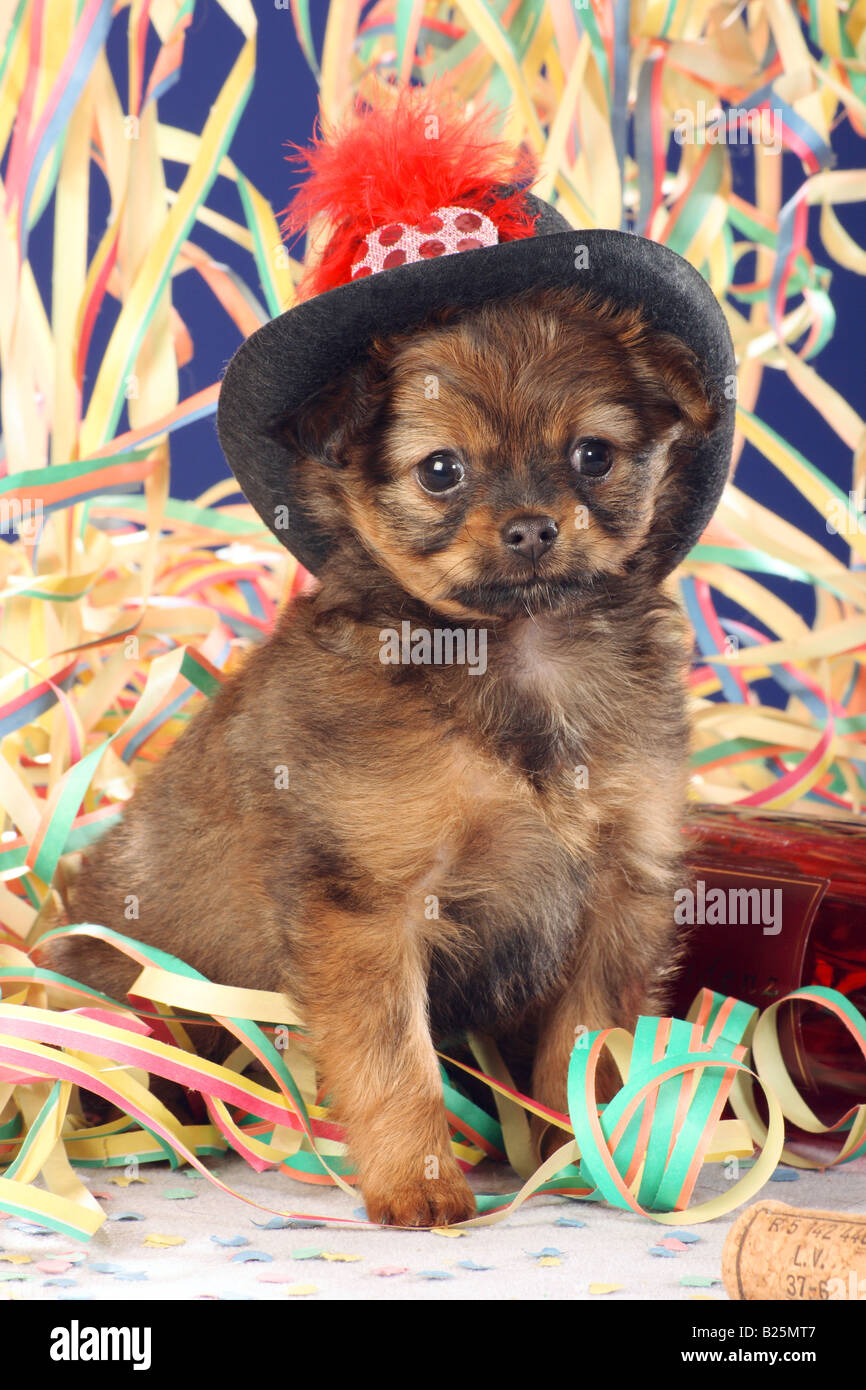 Stream of paper hi-res stock photography and images - Alamy