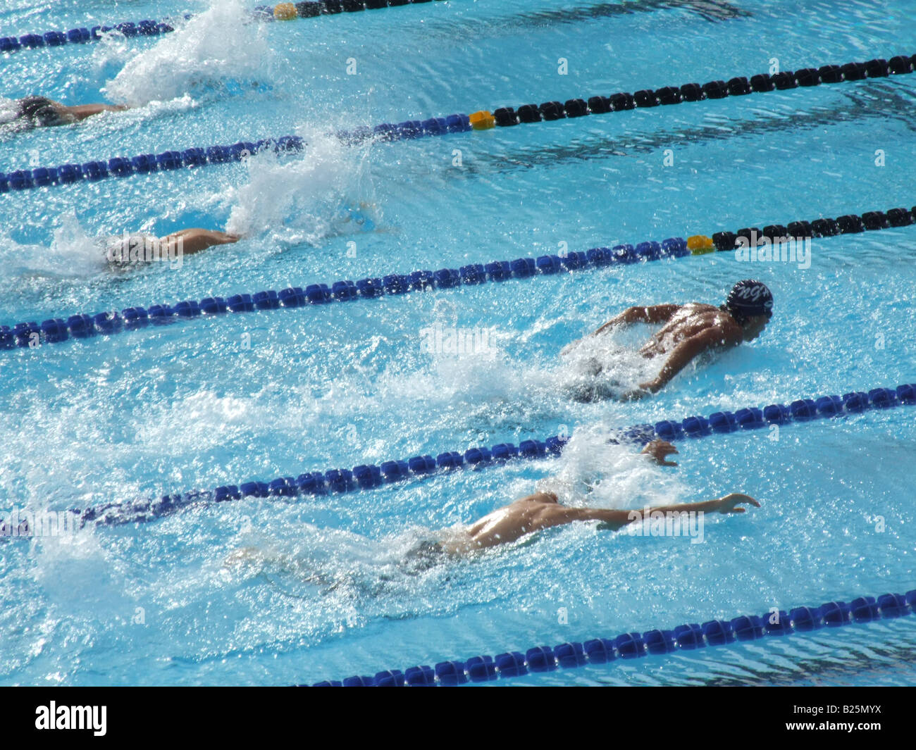 male swimmers in olympic pool in rome, italy Stock Photo - Alamy