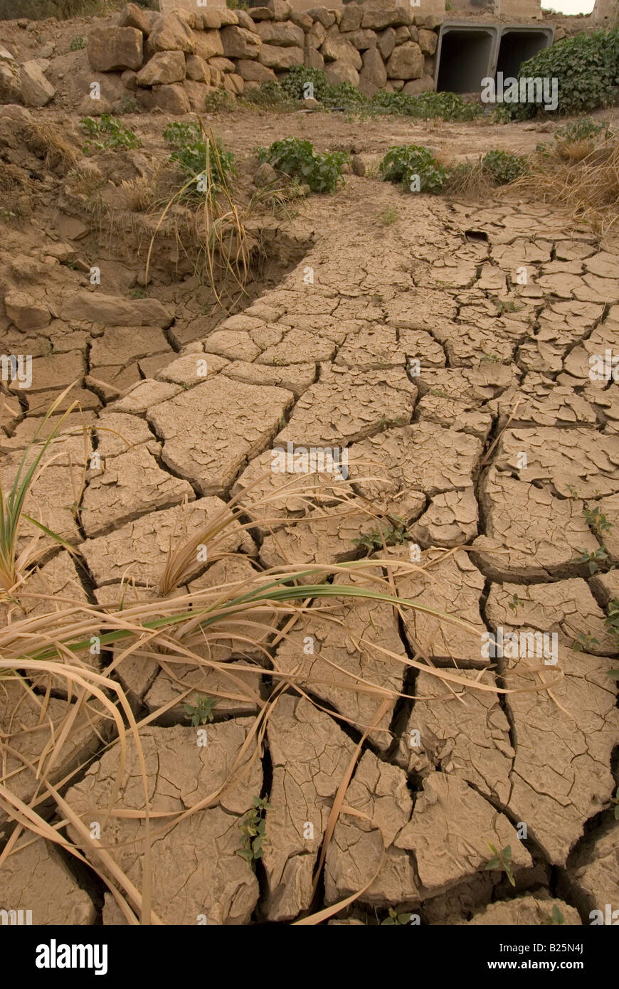 dried up river bed in Andalusia, Spain Stock Photo - Alamy