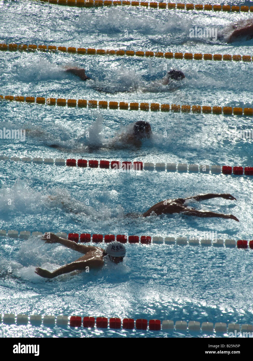 male swimmers in olympic pool in rome, italy Stock Photo - Alamy