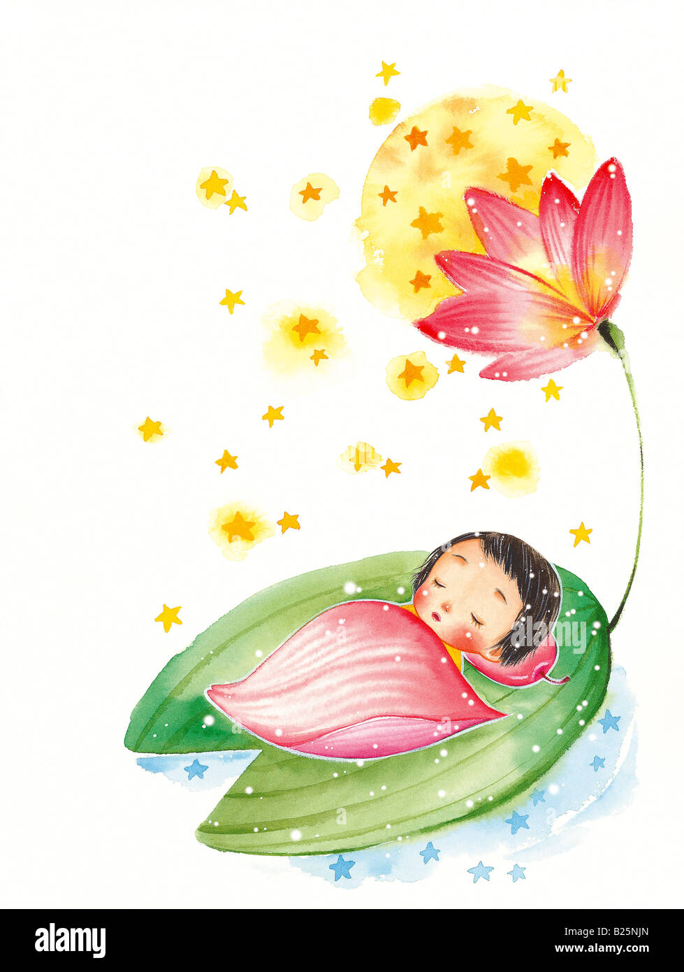 Baby sleeping on the lotus leaf Stock Photo - Alamy