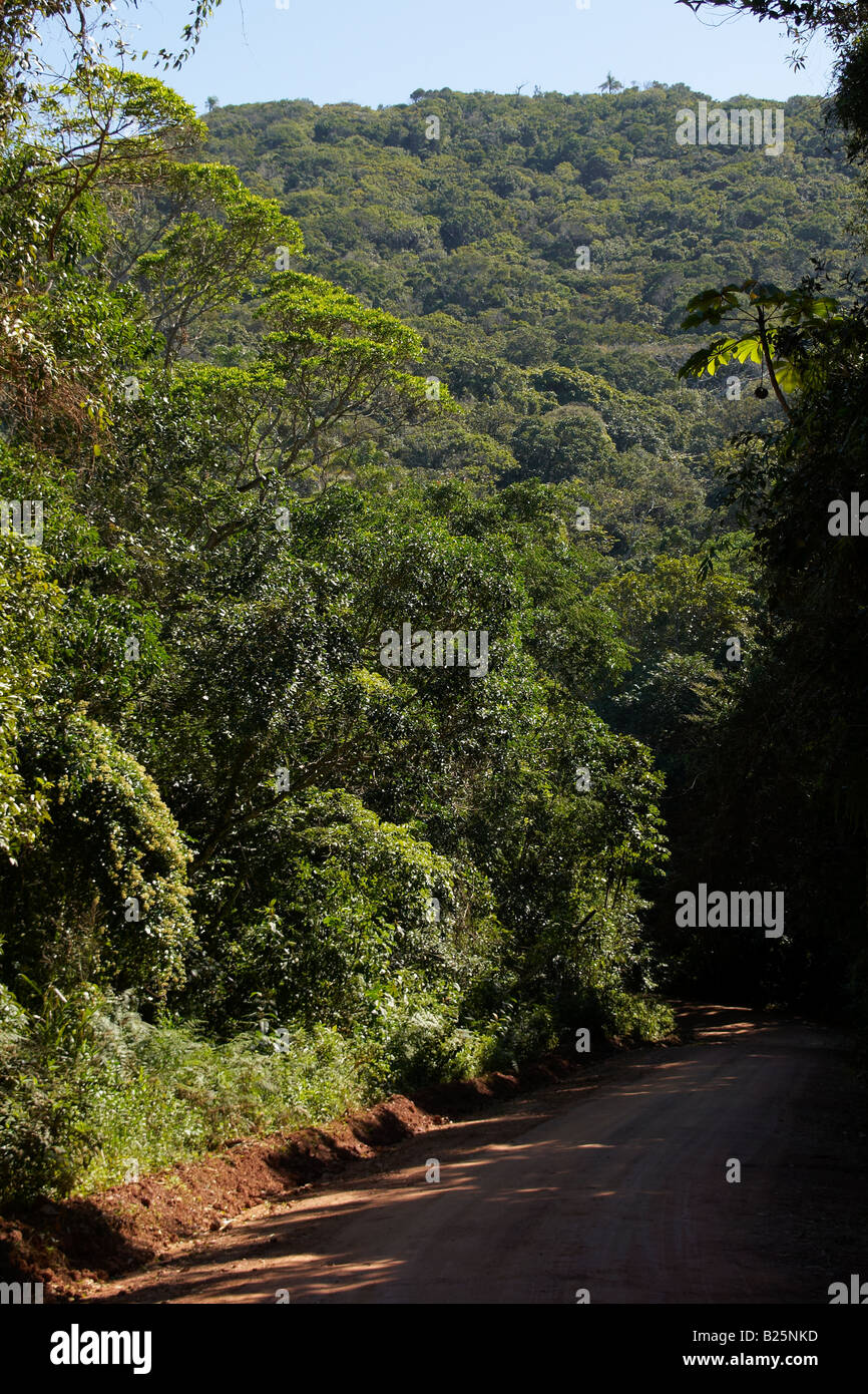 Muddy track hi-res stock photography and images - Alamy