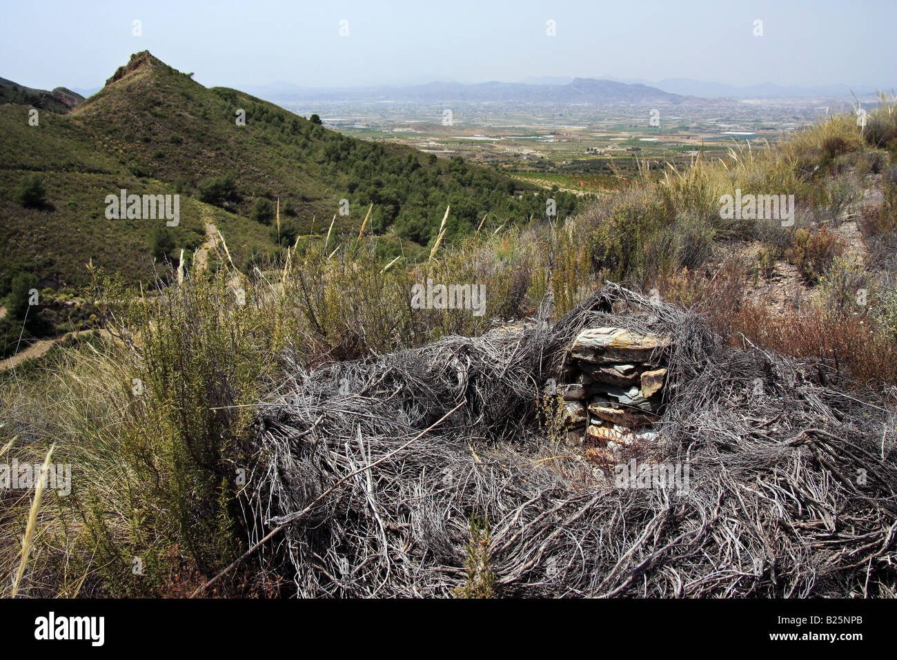 Nest used by hunters for concealment in southern Spain Stock Photo - Alamy